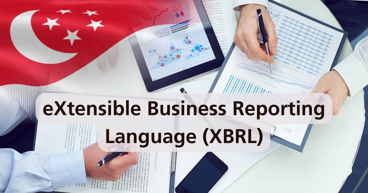 eXtensible Business Reporting Language (XBRL) - Business Compendium