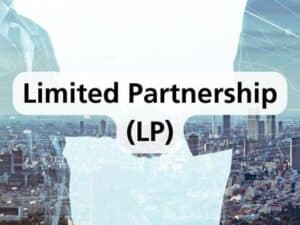 Limited Partnership (LP) - Business Compendium