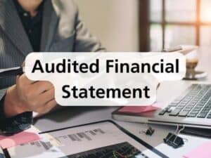 Audited Financial Statement - Business Compendium