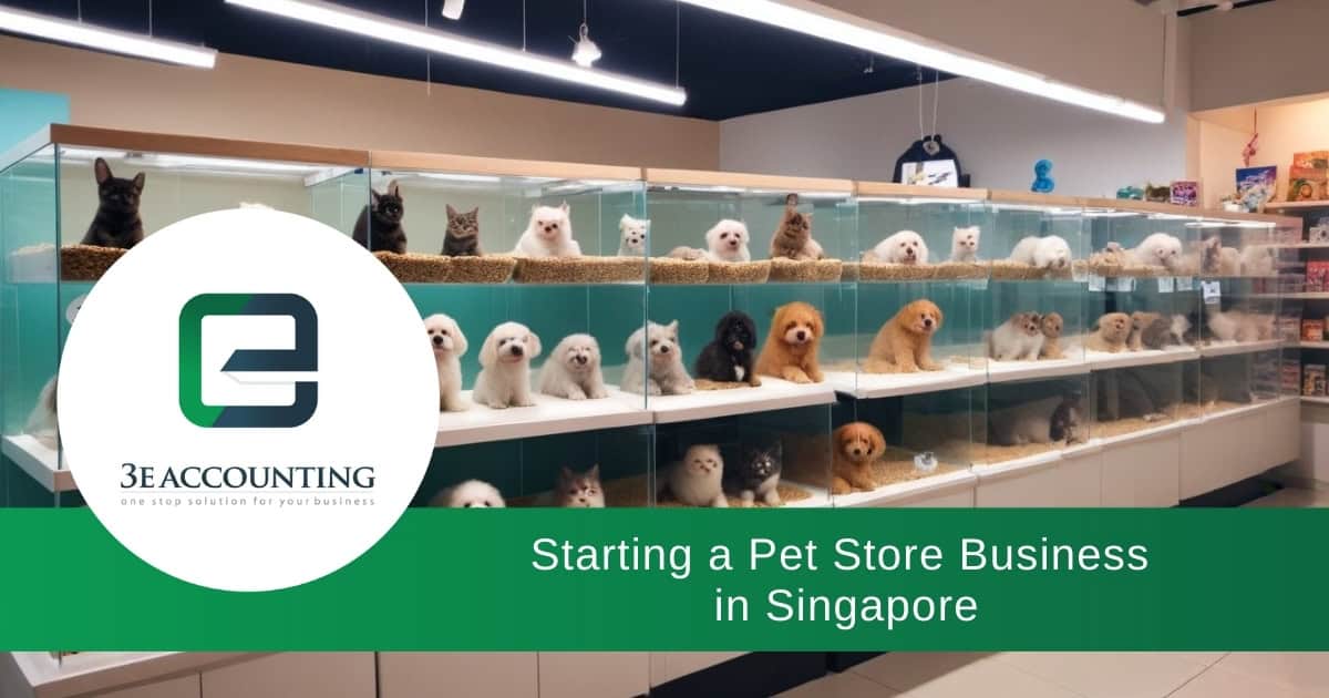 Pet Store Business: 7 Powerful Steps to Successfully Start in Singapore